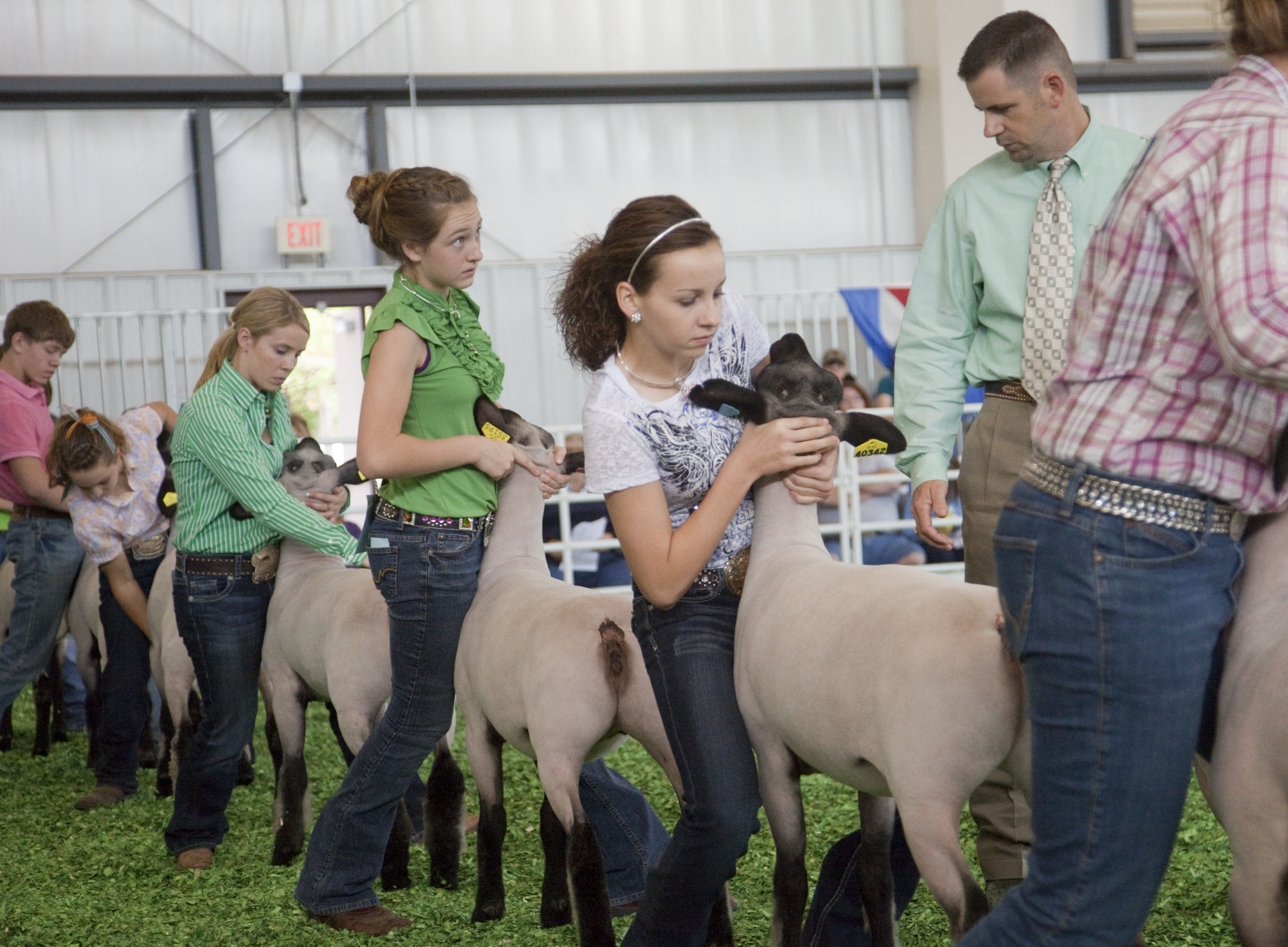 Photo gallery: 700-pound butter scultpure, pig races highlight Kansas ...